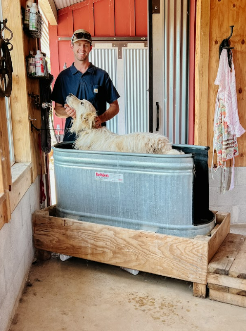 How To Set Up A Dog Washing Station Thermaland Oaks